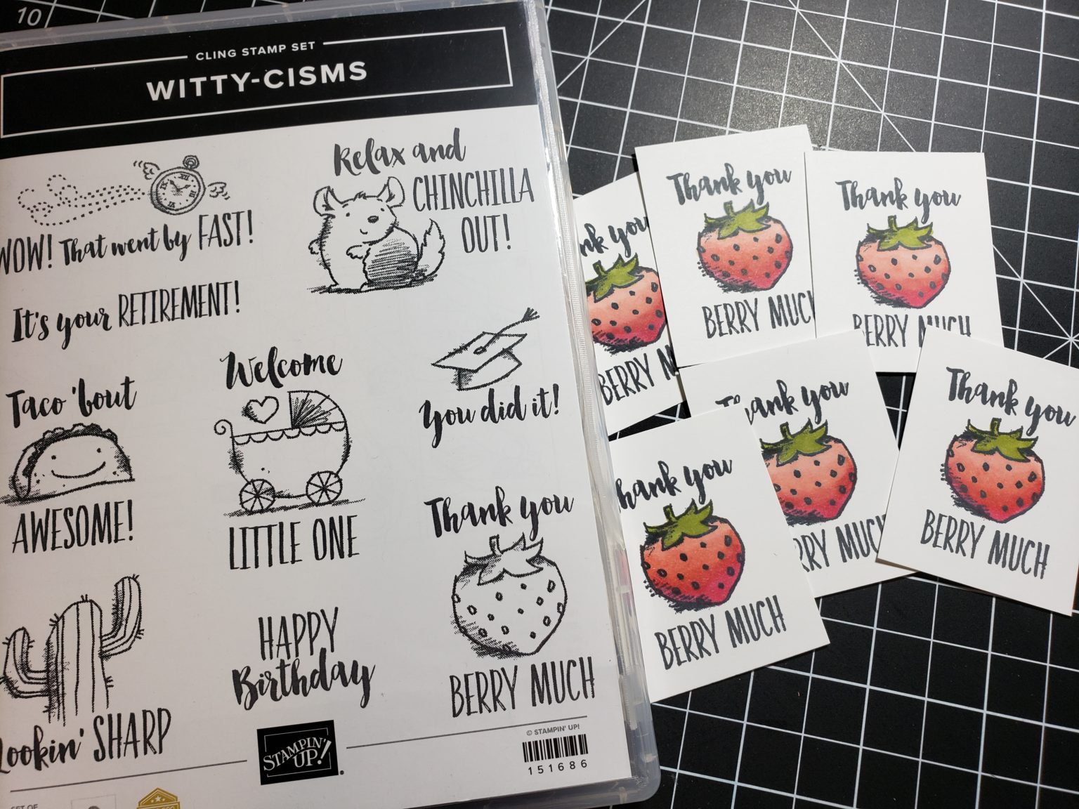Meet the Witty-cisms Stamp Set