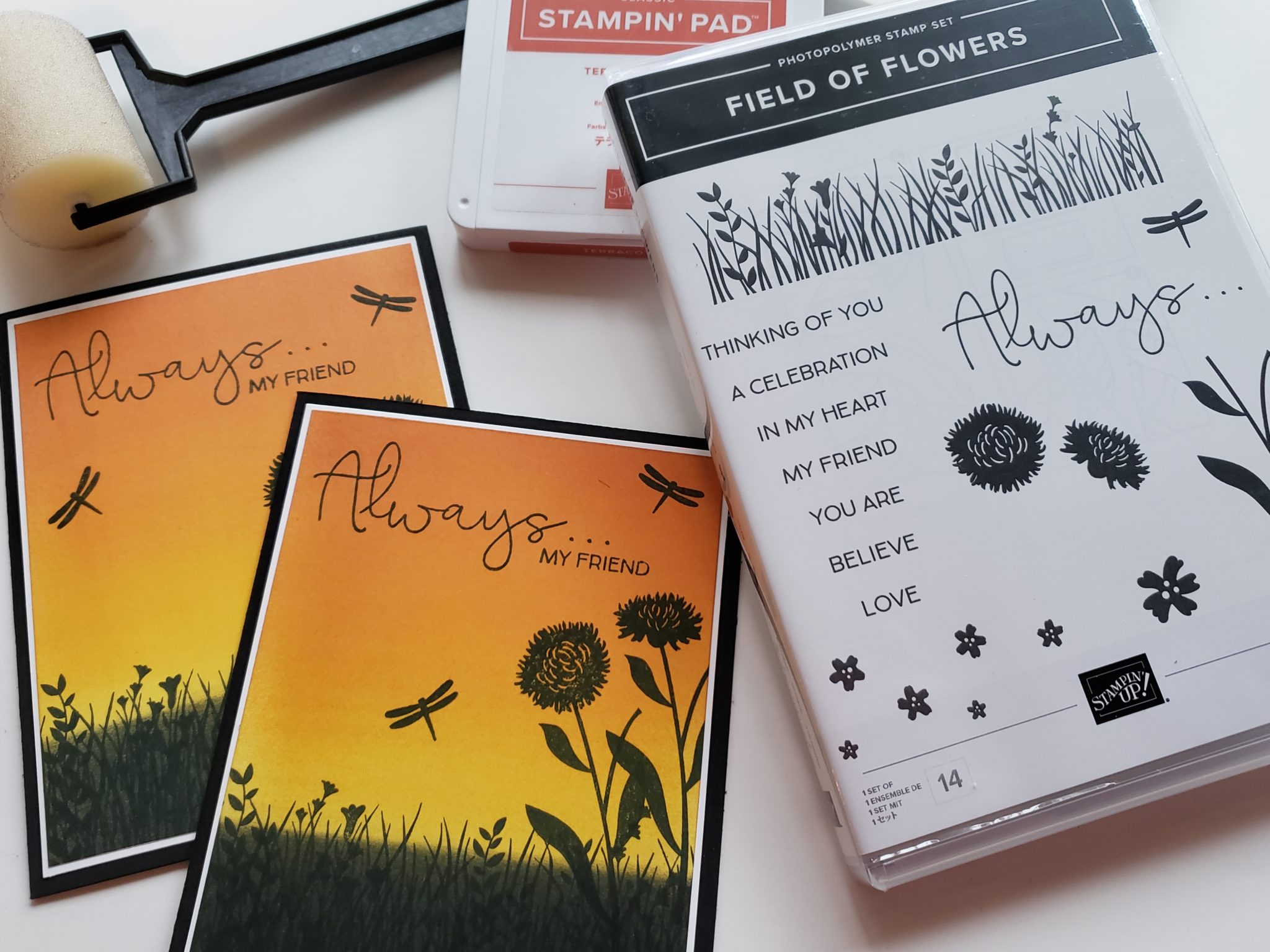 Introducing Stampin Up Field of Flowers