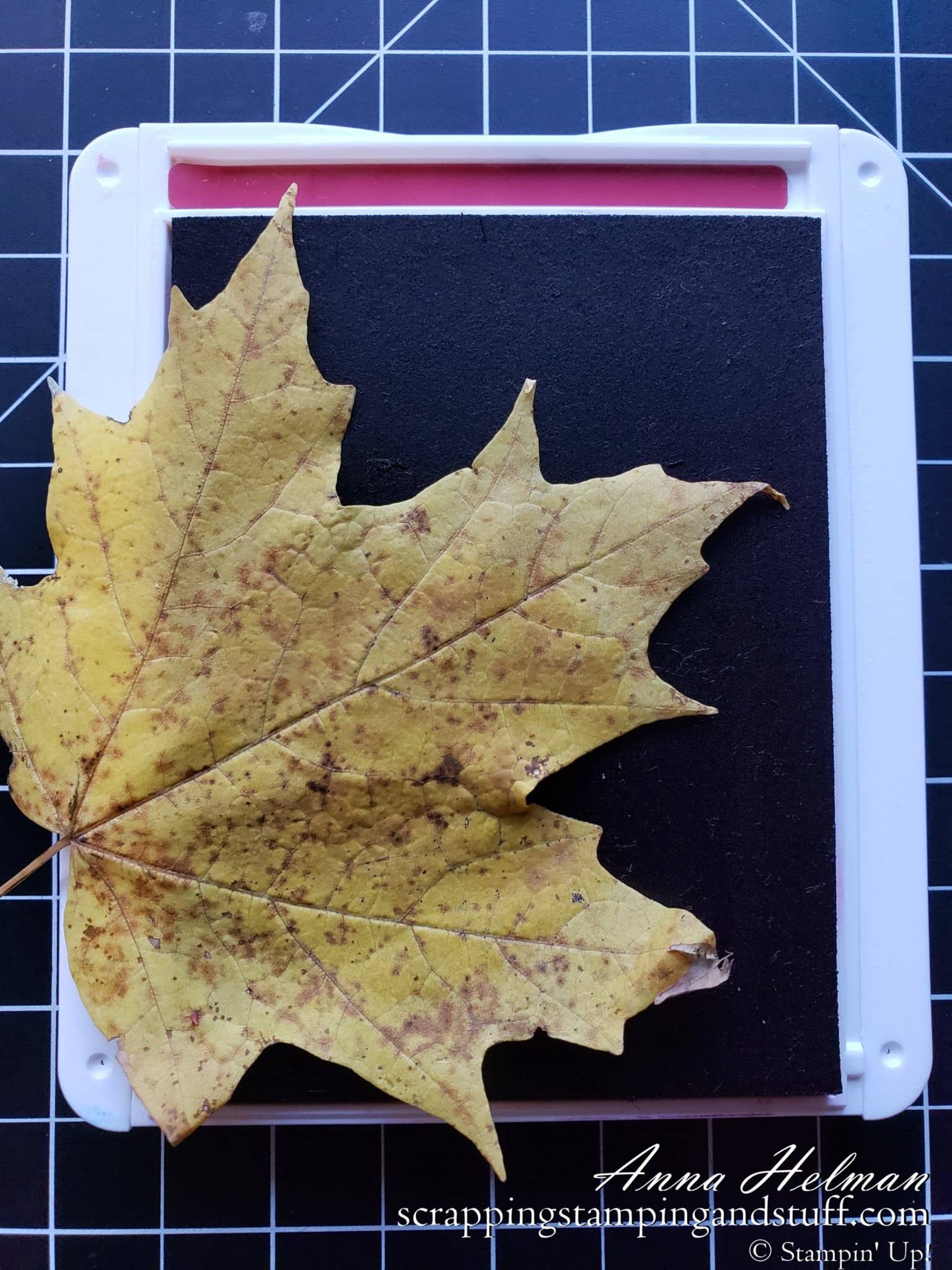 This Leaf Stamping Technique Is A Must-Try For Fall Cards