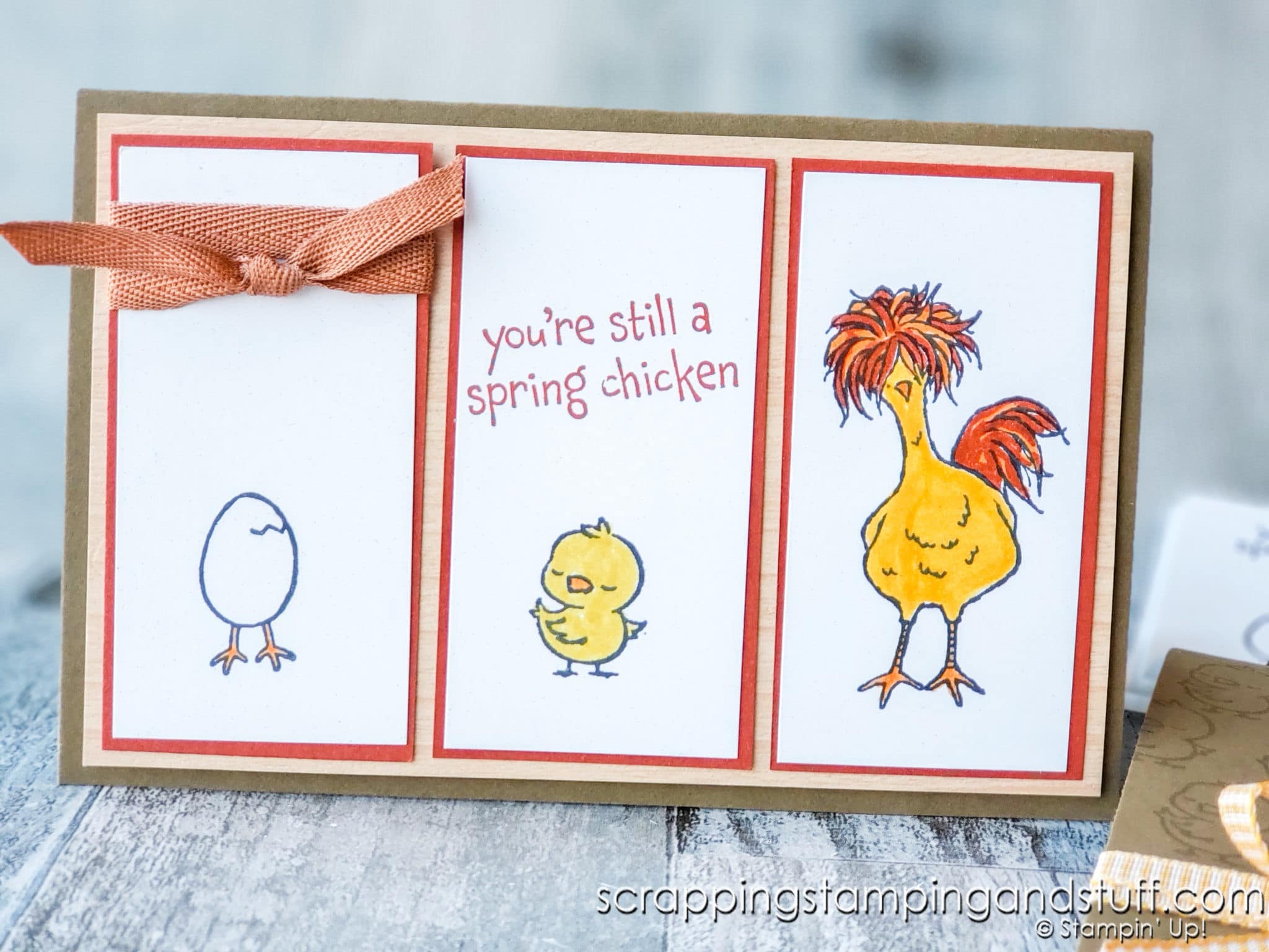 Make Cute Chicken Cards with the Hey Chick & Springtime Joy Stamp Sets
