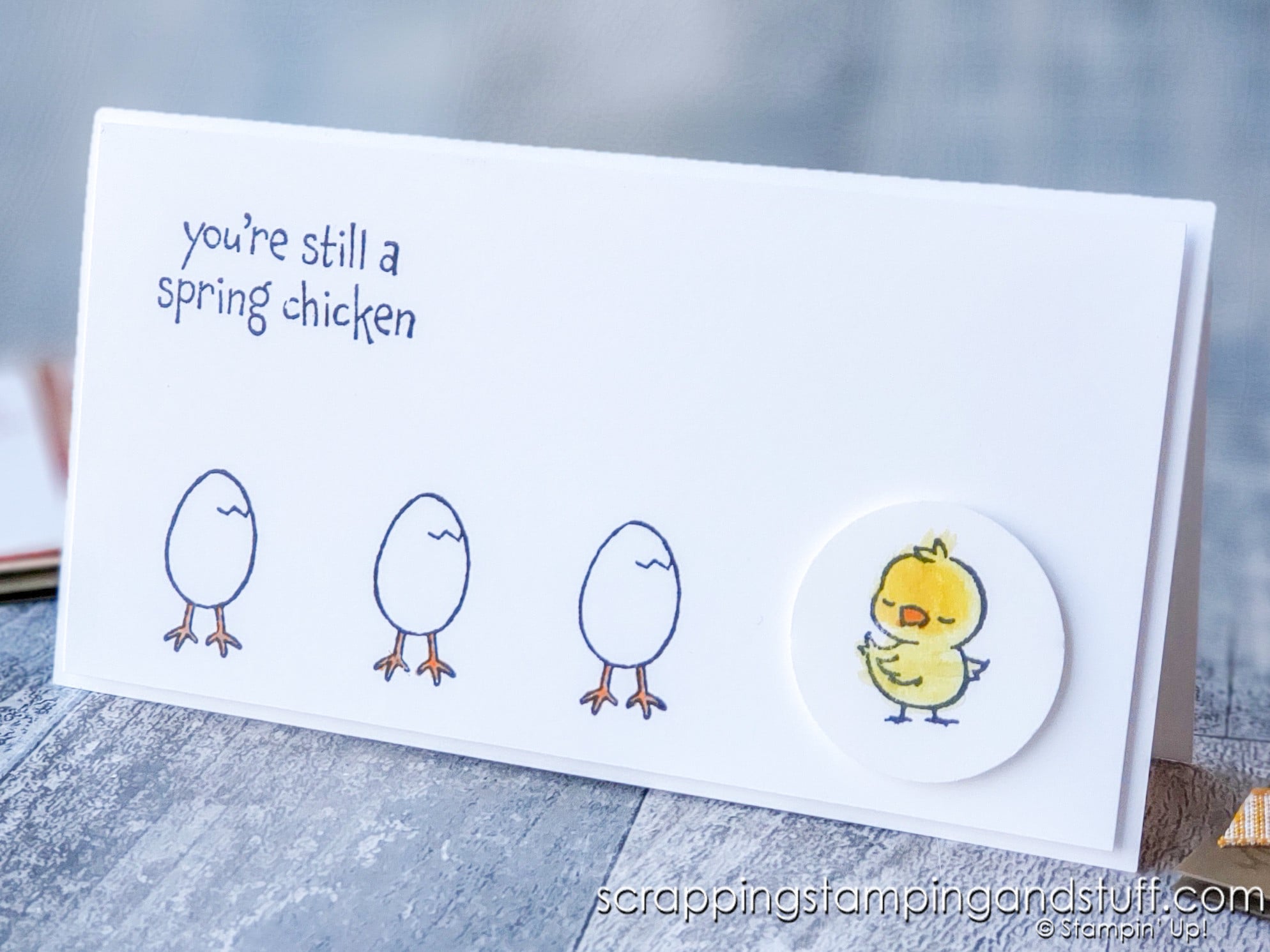 Make Cute Chicken Cards with the Hey Chick & Springtime Joy Stamp Sets