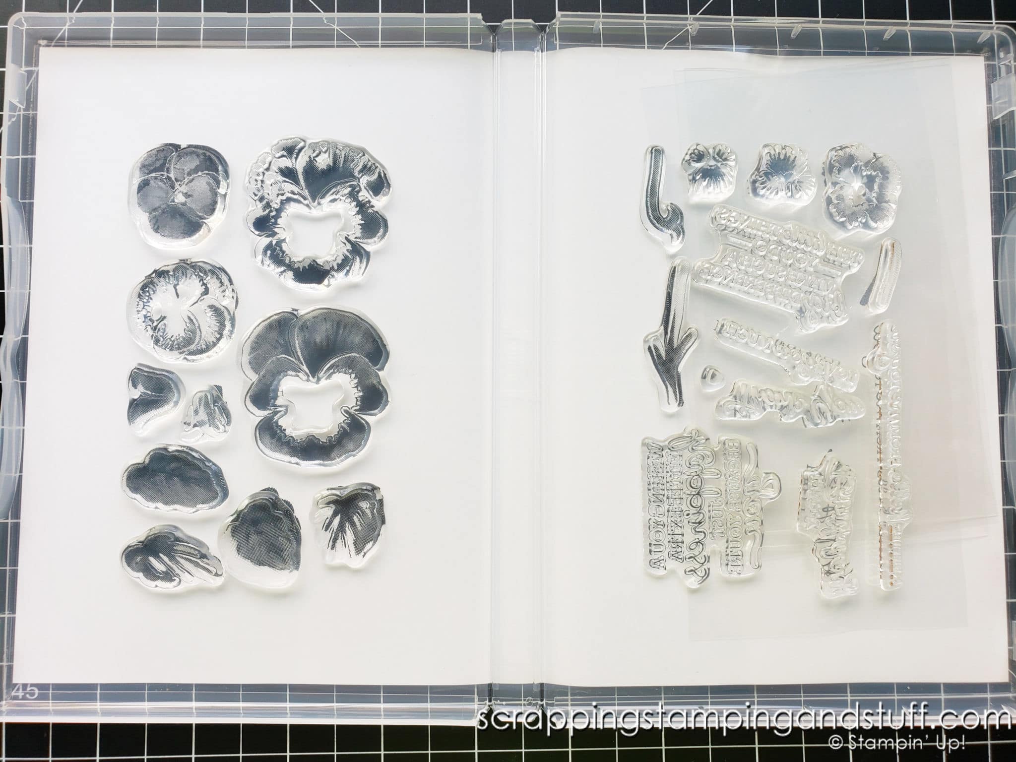 New Photopolymer Stamp Packaging From Stampin Up - Here's What To Expect